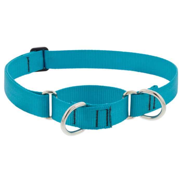 Lupine Pet Dog 1 In Wide 19-27 In Martingale Collar Basic Aqua – Benson ...