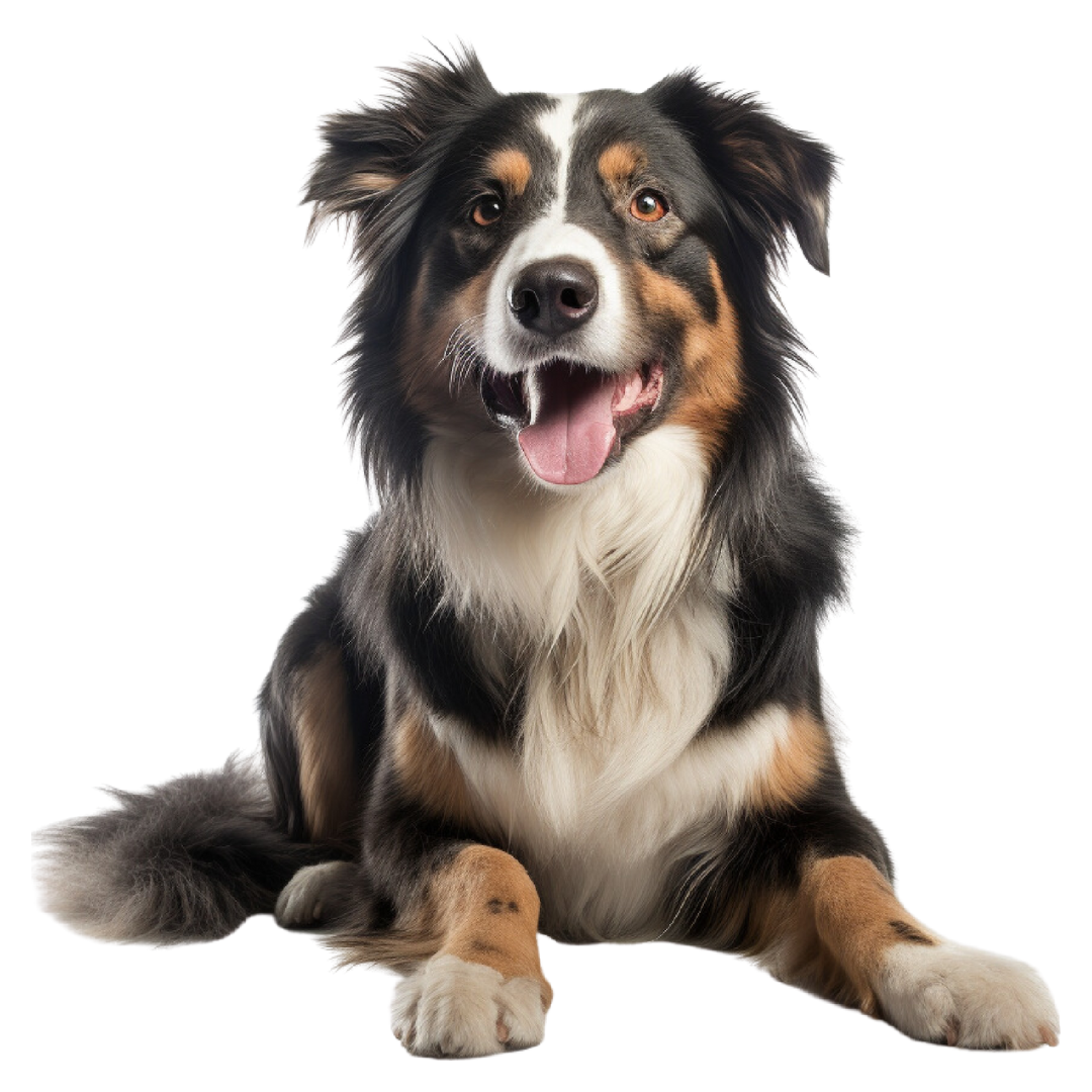 Benson’s: Where It's All About The Pets! – Benson's Pet Center